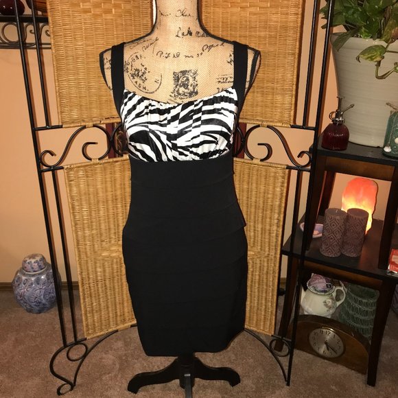 Sweet Storm | Dresses | Sweet Storm Zebra Black Banded Dress | Poshmark